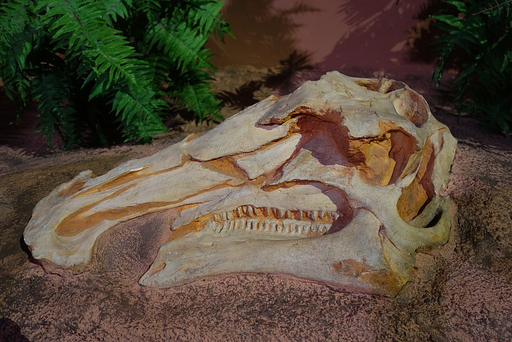 Jurassic Matrix Museums Page